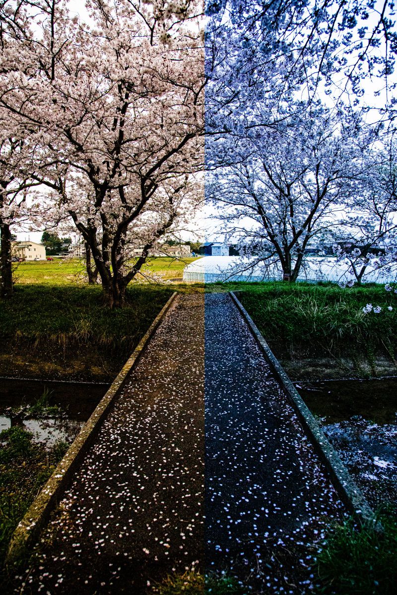 並行世界_14 | GANREF