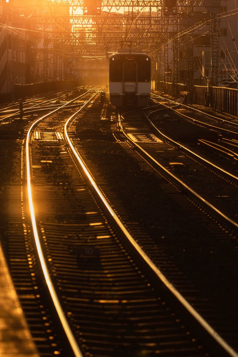 Golden Express | GANREF