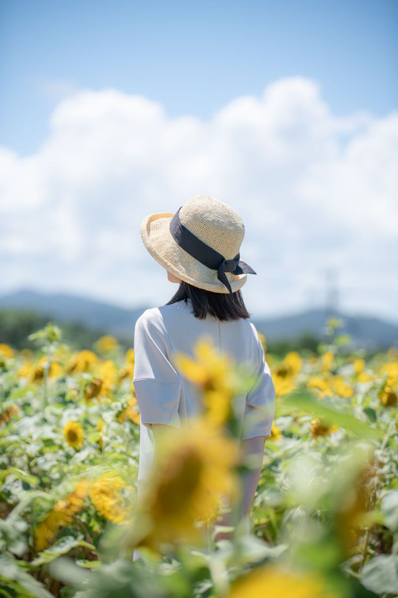 ひまわり畑とキミ | GANREF