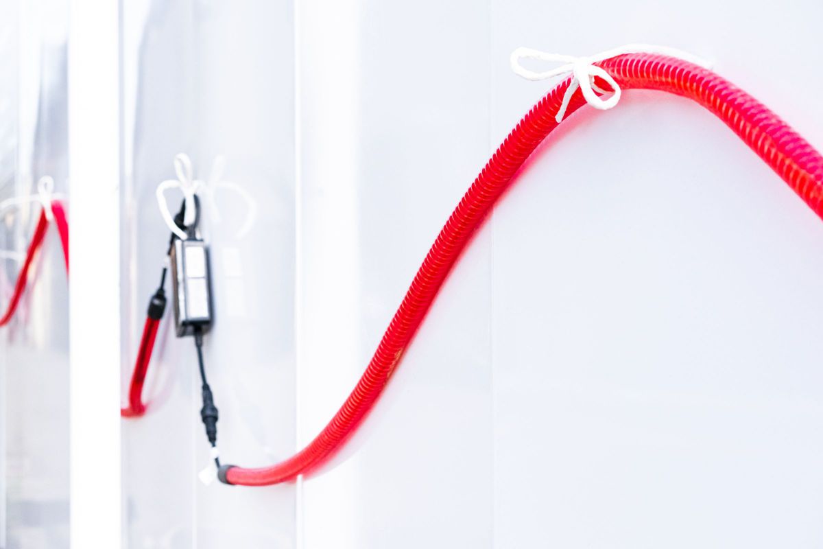 RED WAVE． | GANREF