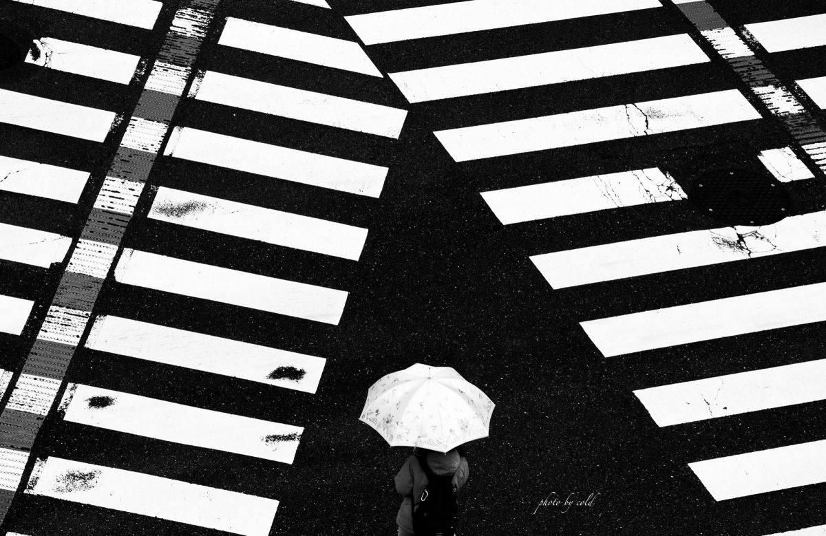 intersection | GANREF