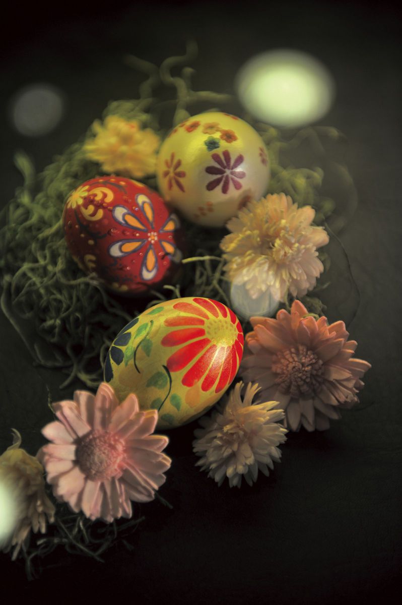 カラフル eggs | GANREF