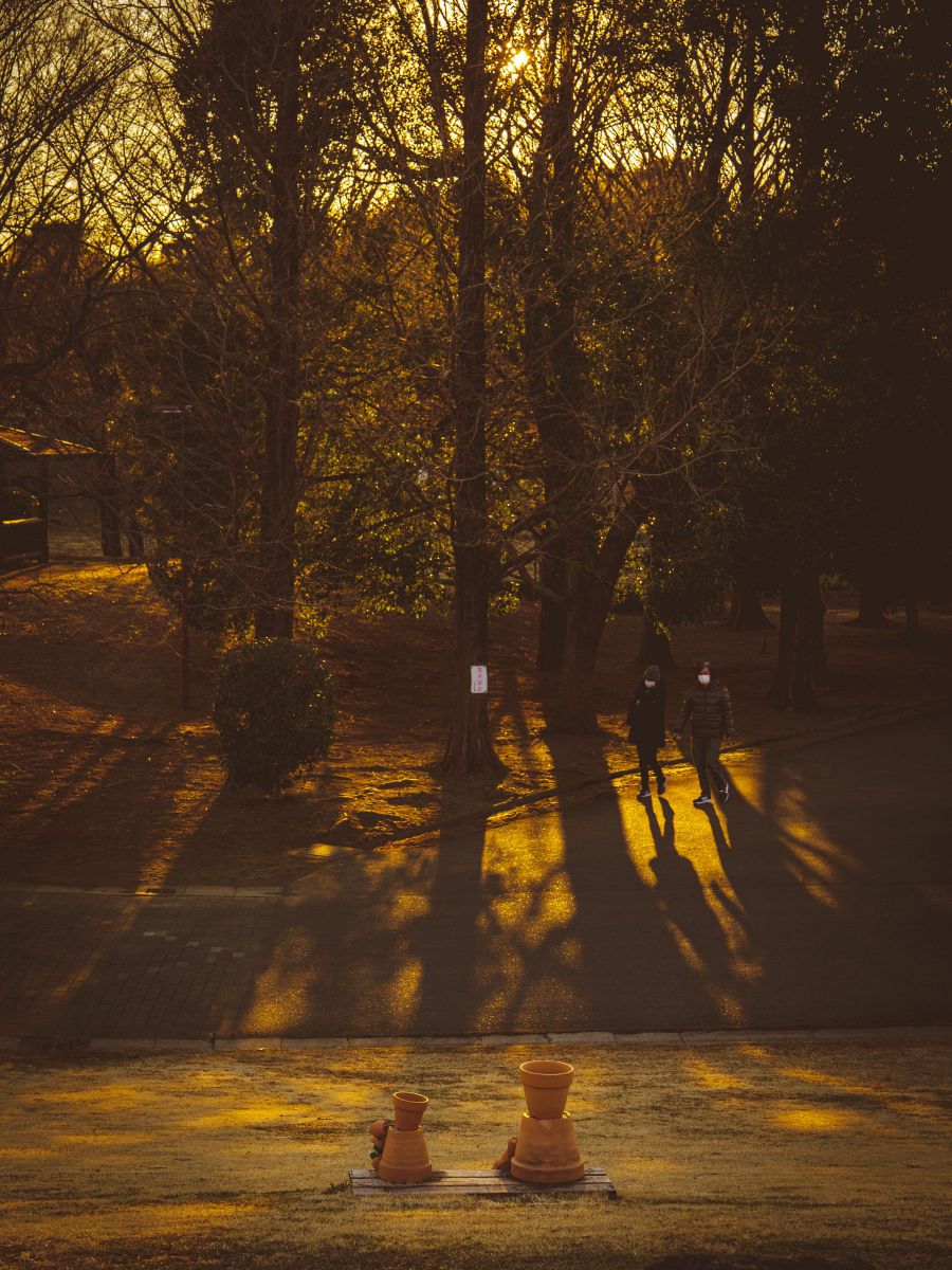 これからの二人 | GANREF