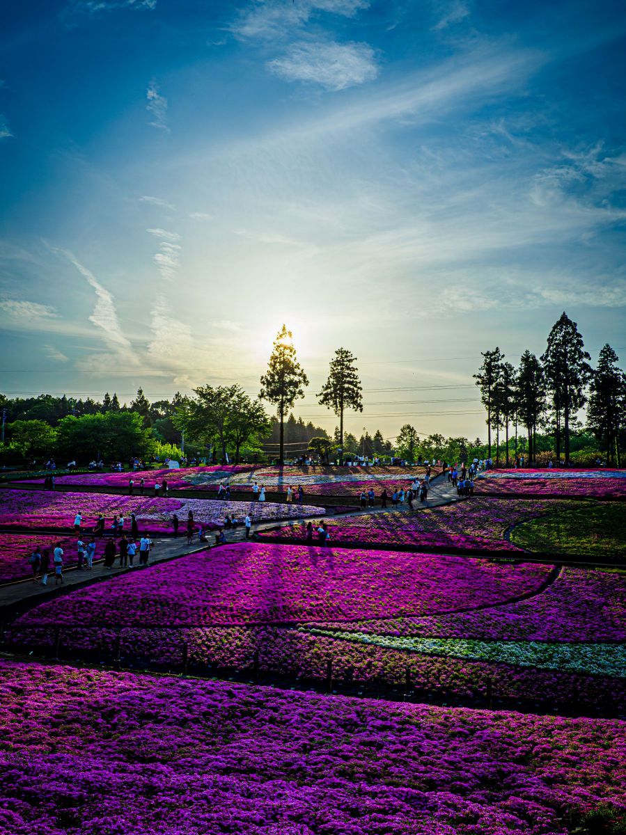 そろそろ帰ろう | GANREF