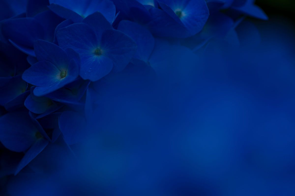 Almost Blue | GANREF