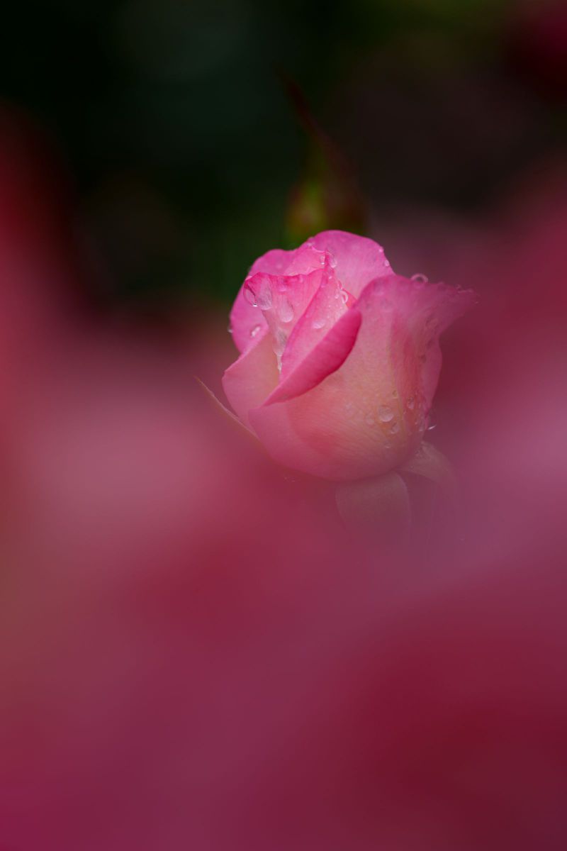 A sigh is just a sigh | GANREF