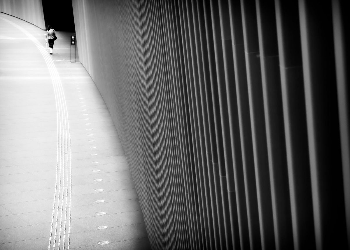 2016 summer | GANREF