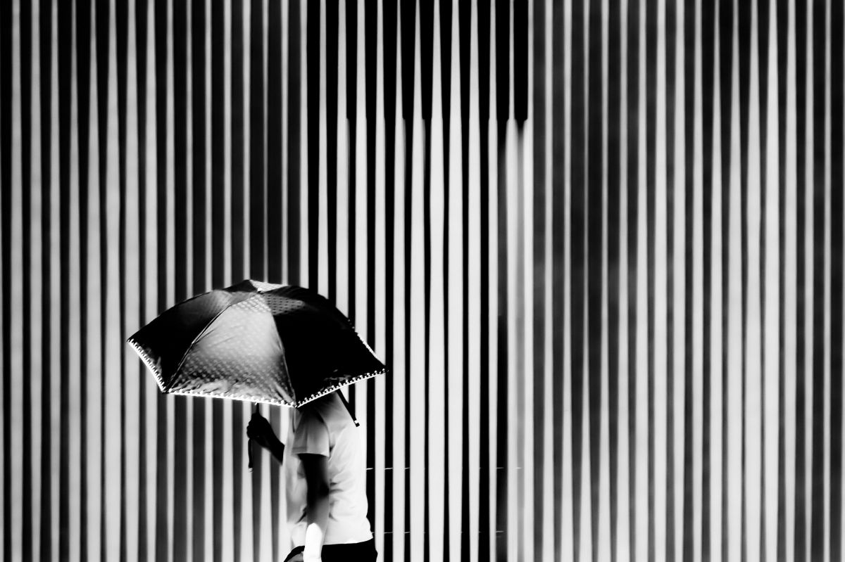 2016 summer | GANREF