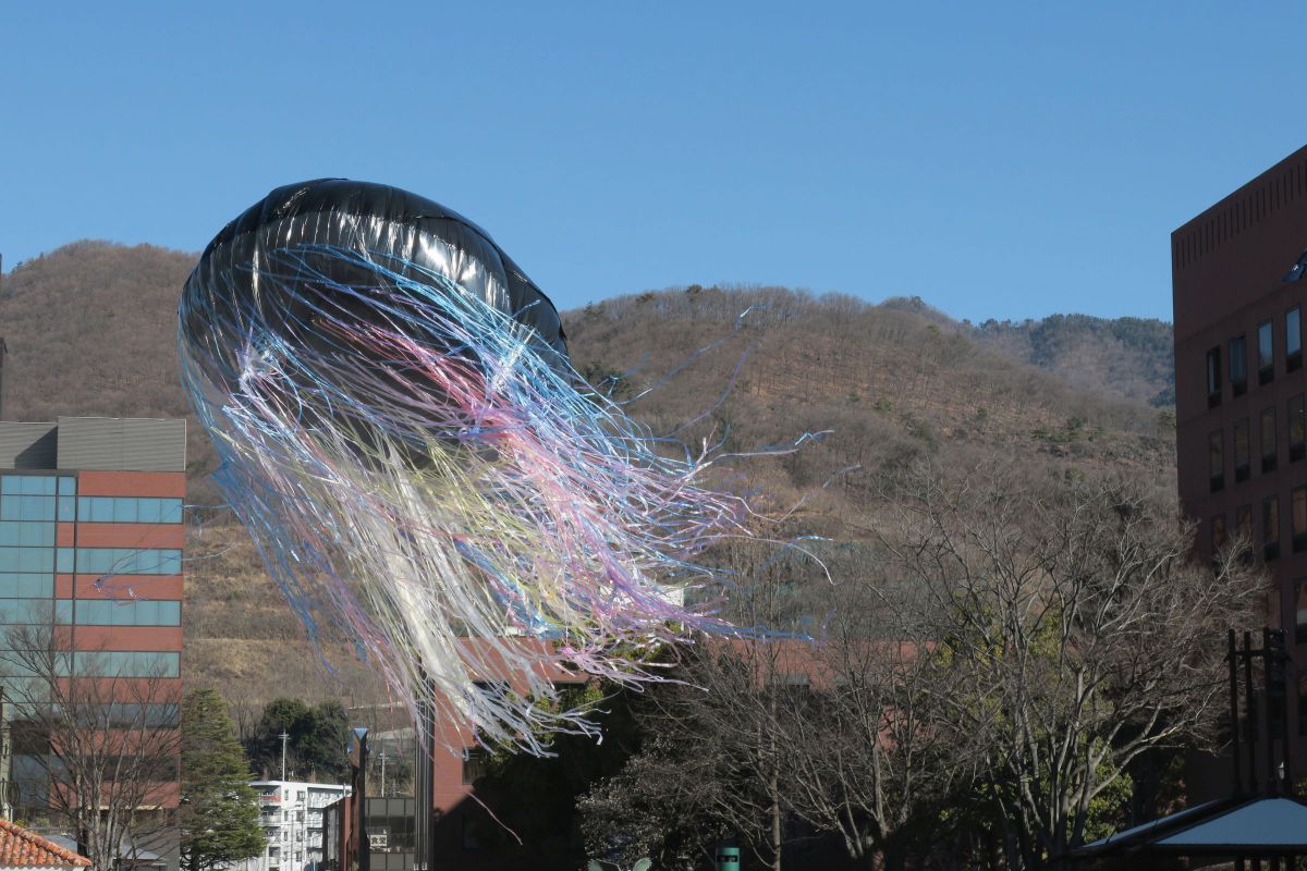 Flying Jellyfish | GANREF