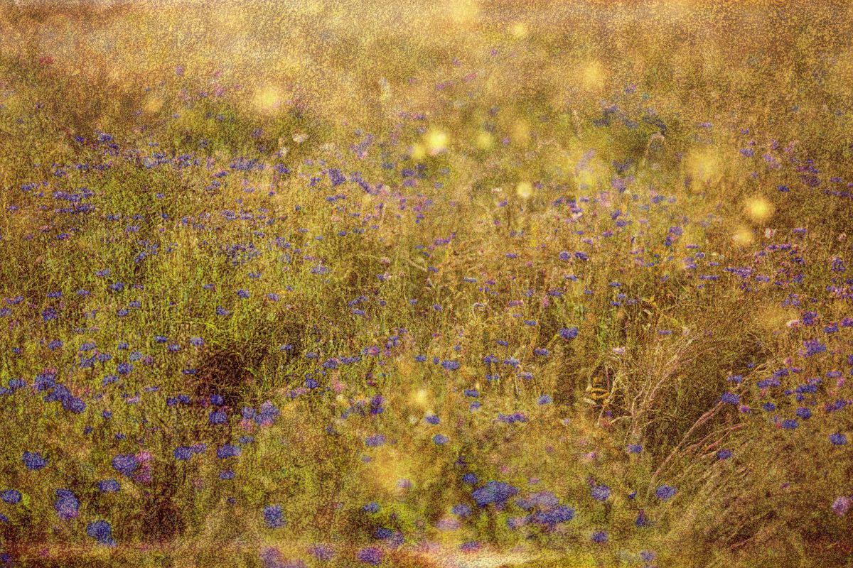 Stage REM ~ Meadow Slumber ~ | GANREF