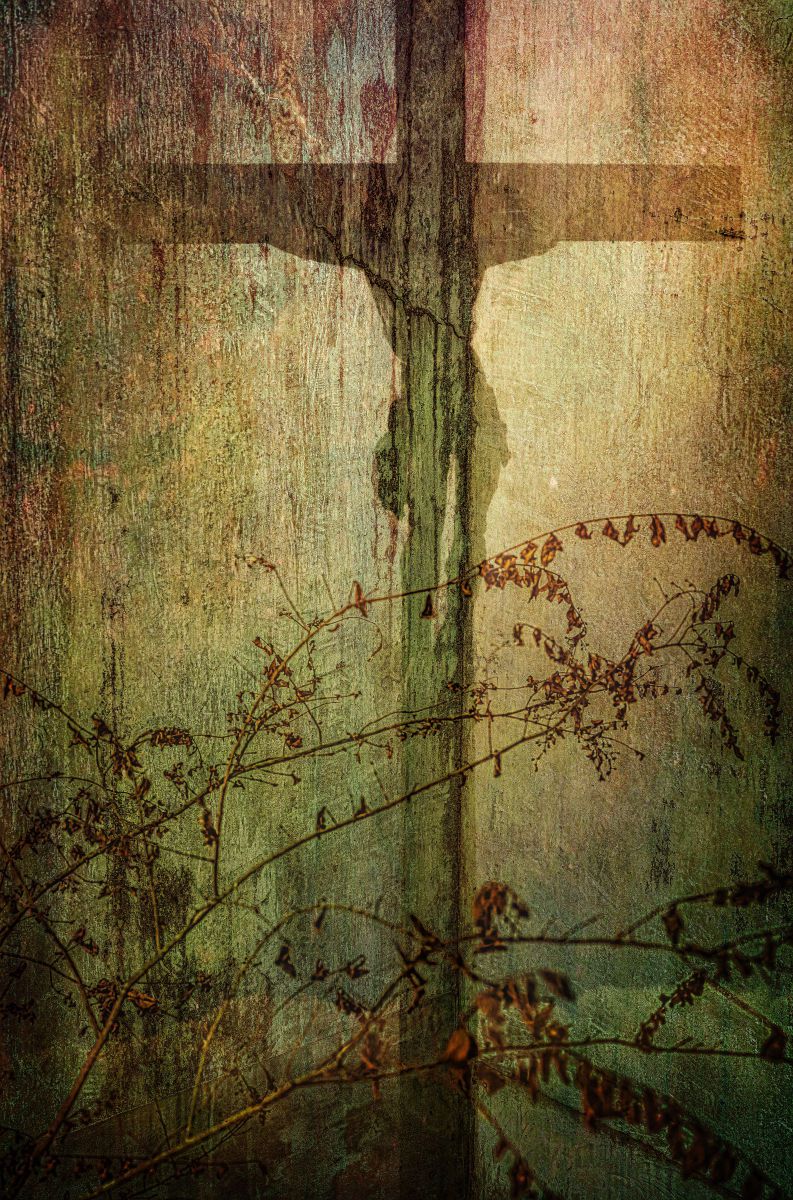 Stage REM ~ Ecce chrome ~ | GANREF