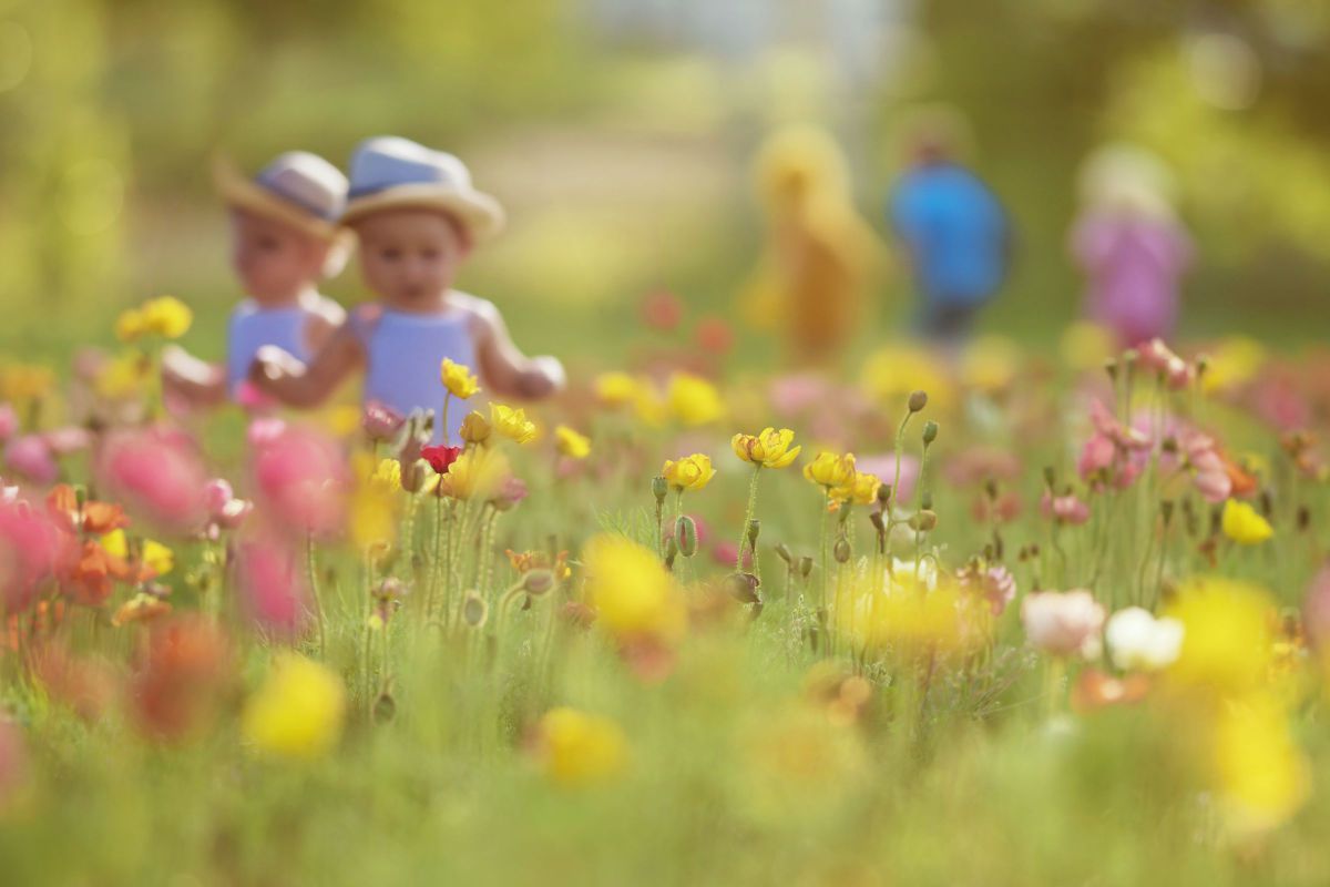 Day dream of late Spring | GANREF