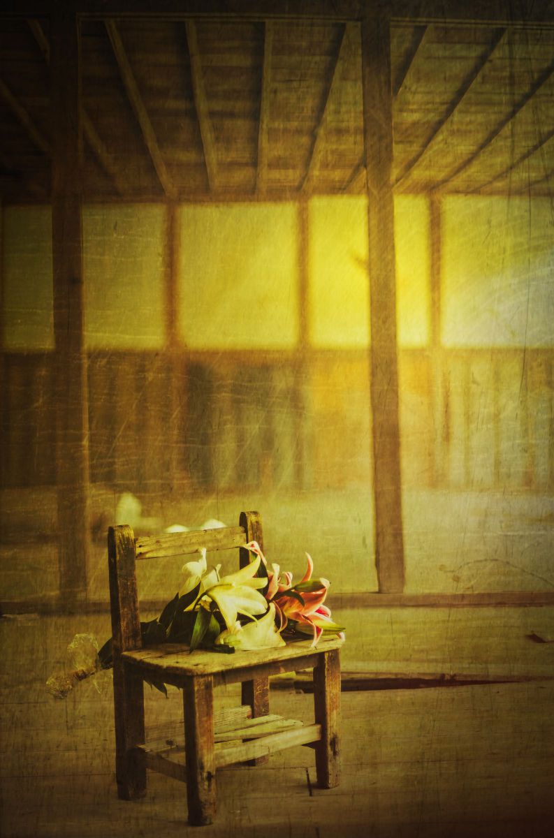 Memory through an old glass | GANREF