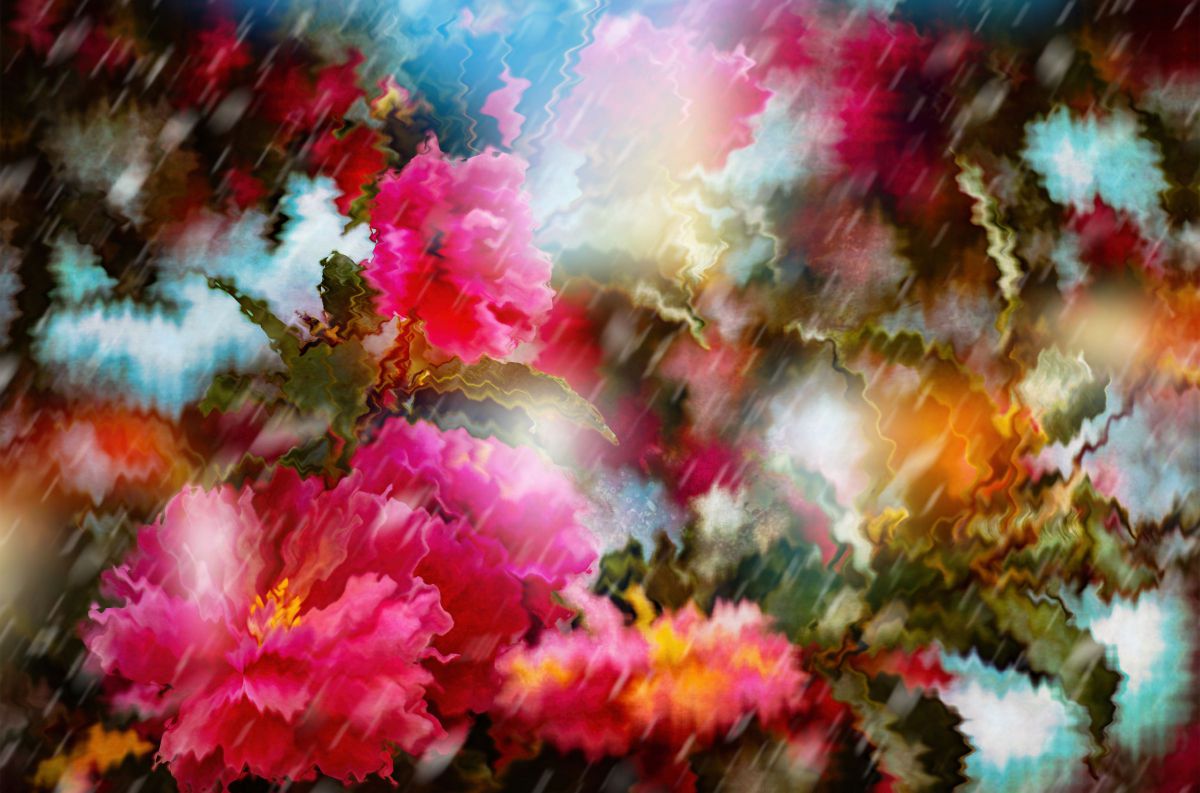 camellia in the sun shower | GANREF