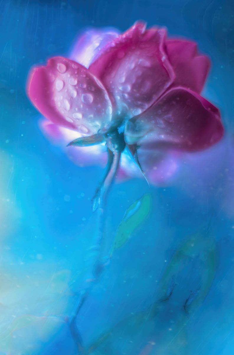 Beautiful back view | GANREF