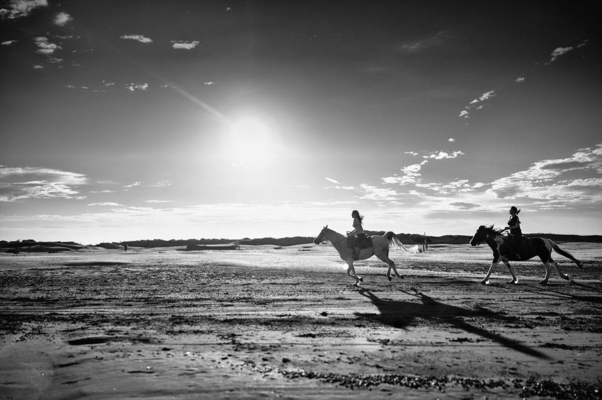 ride on time | GANREF