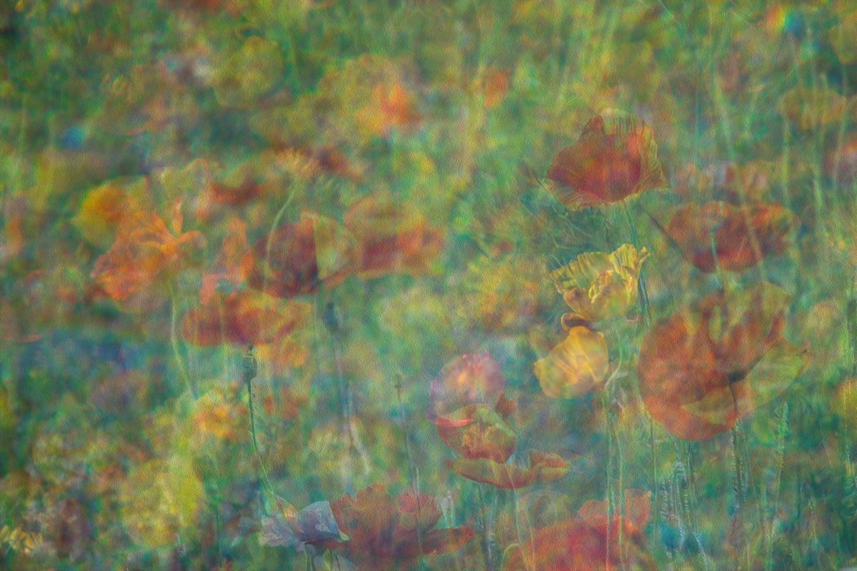 Stage REM ~May Garden~ | GANREF