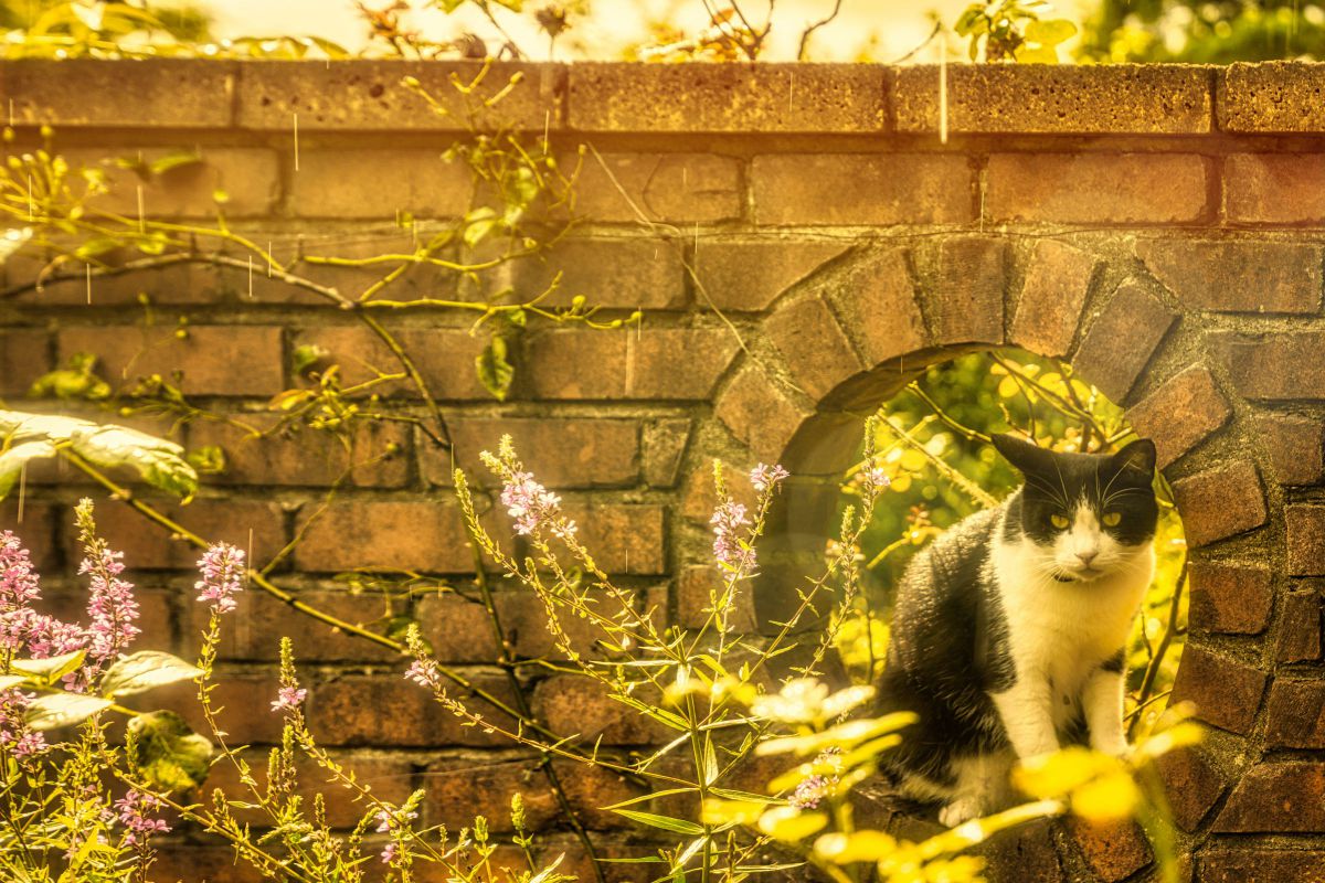 Welcome to My House | GANREF