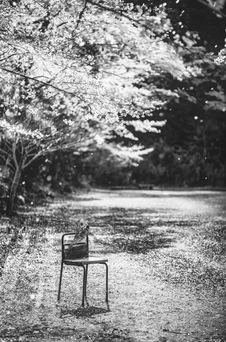 Reserve Seat | GANREF