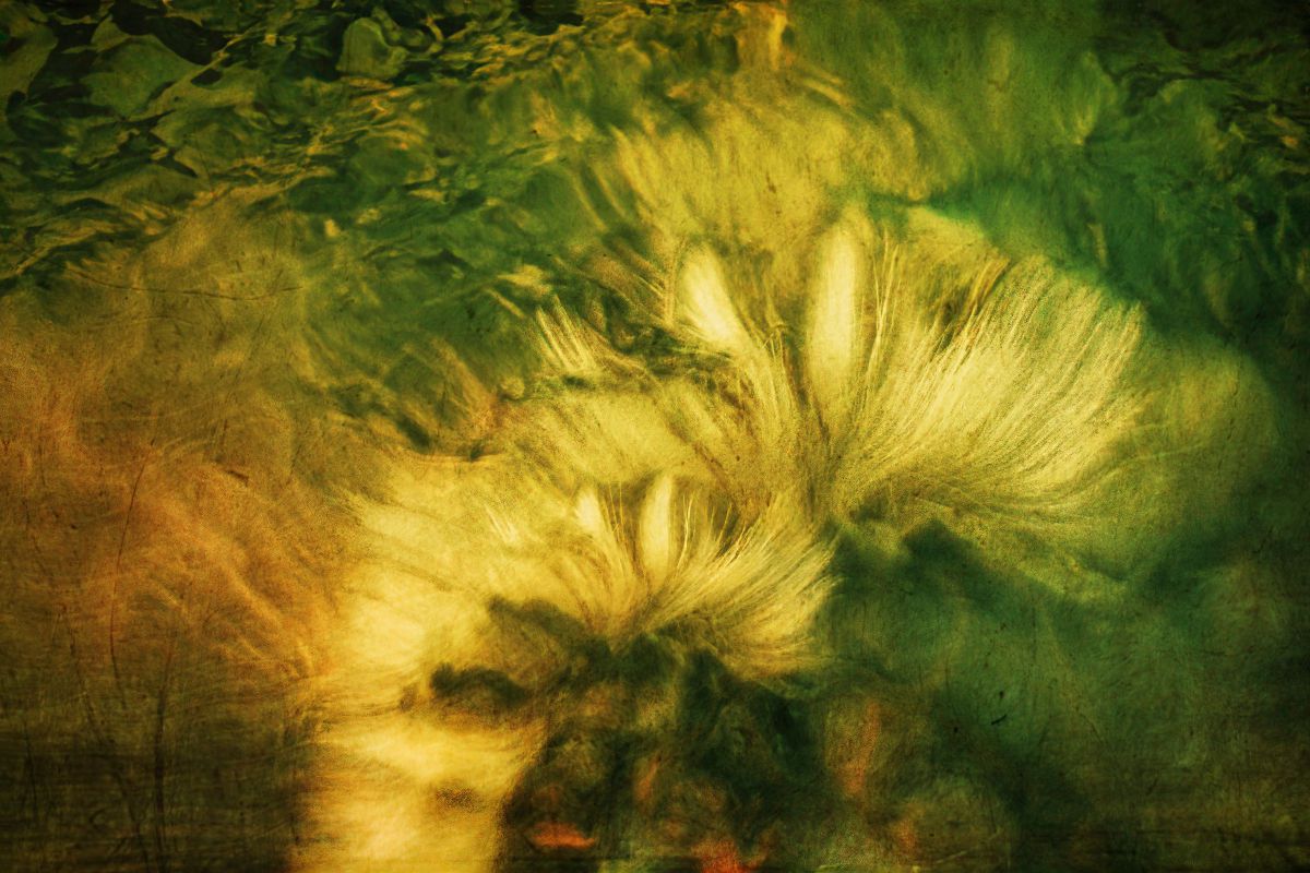 Stage REM ~ Last dance ~ | GANREF