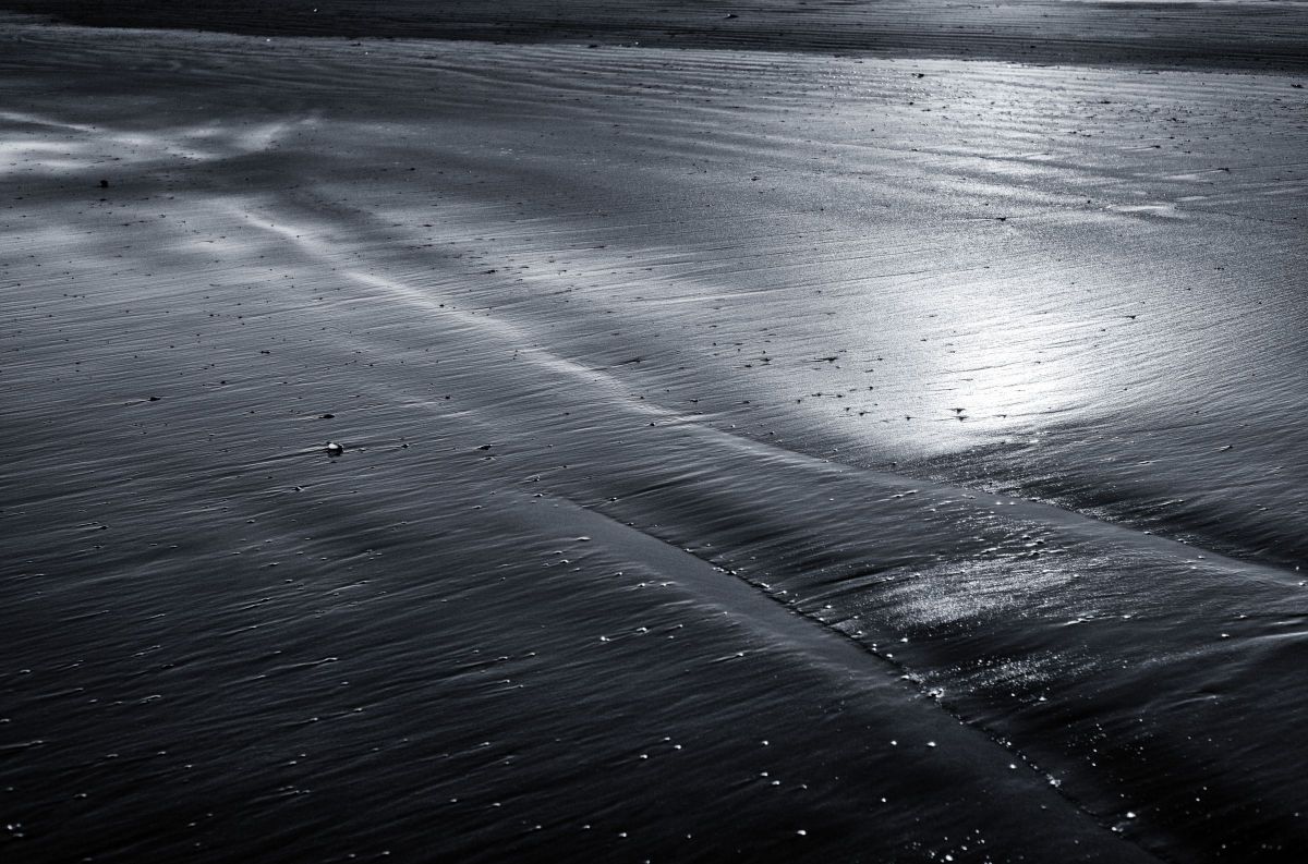 Moonlight Serenade | GANREF