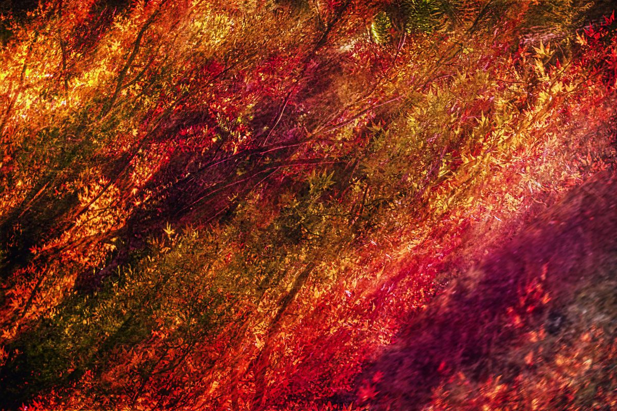 Stage REM ~fiery autumn~ | GANREF