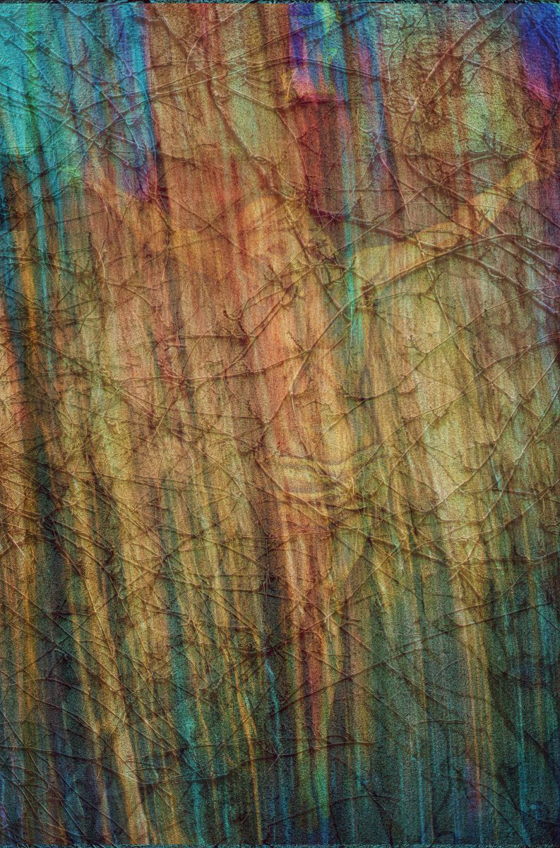 Stage REM ~ Mercy & Compassion ~ | GANREF