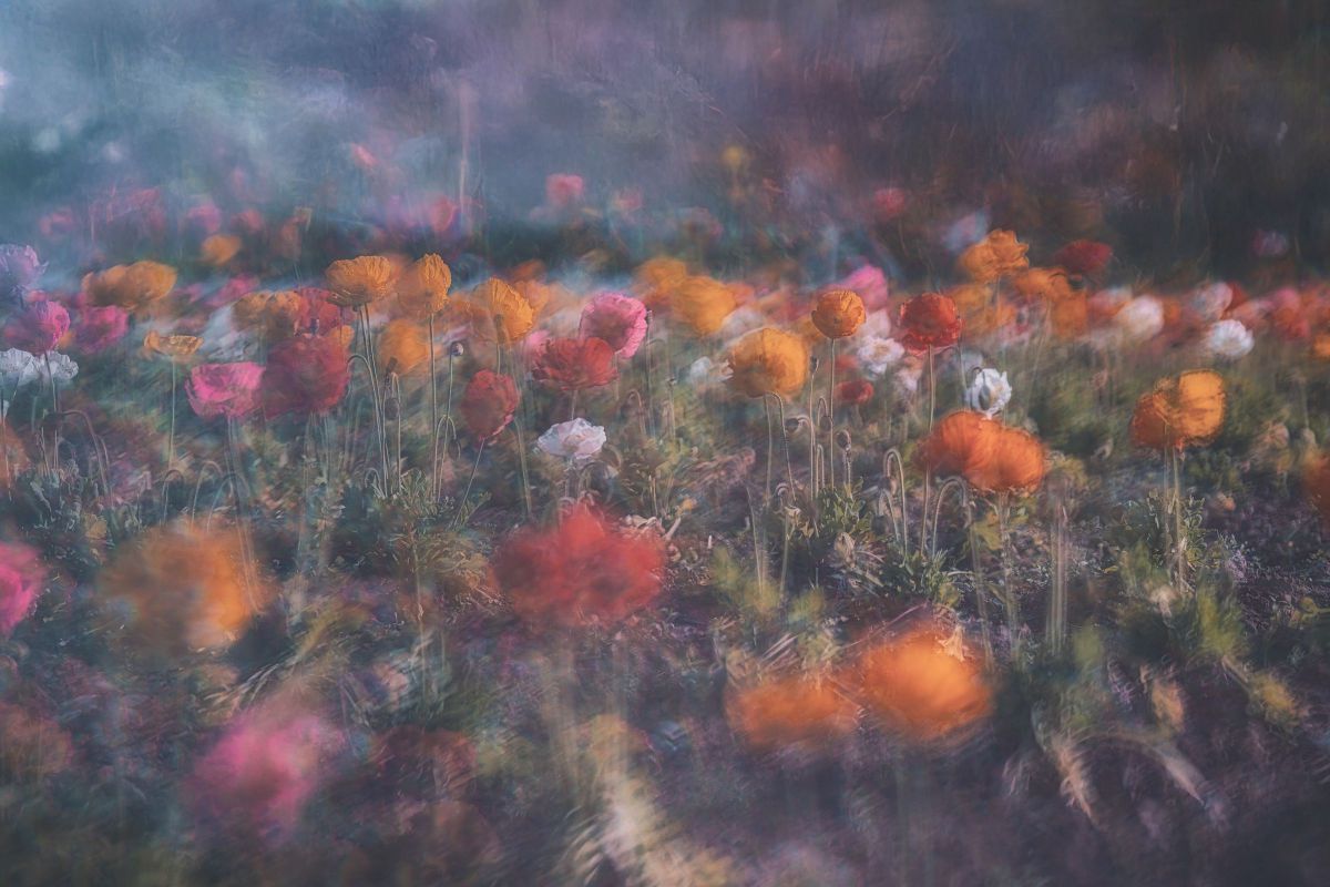 Stage REM ~Before the evening calm~ | GANREF