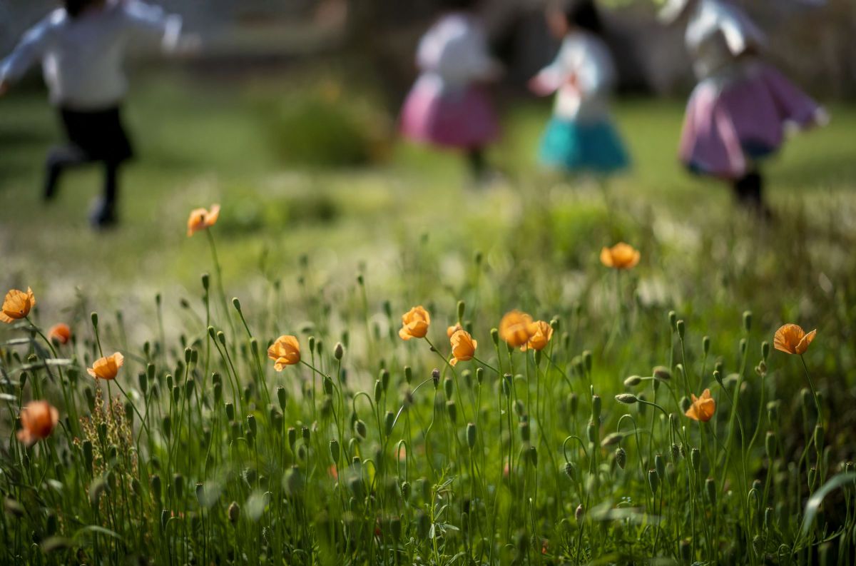 Stage REM ~When the poppies bloom~ | GANREF