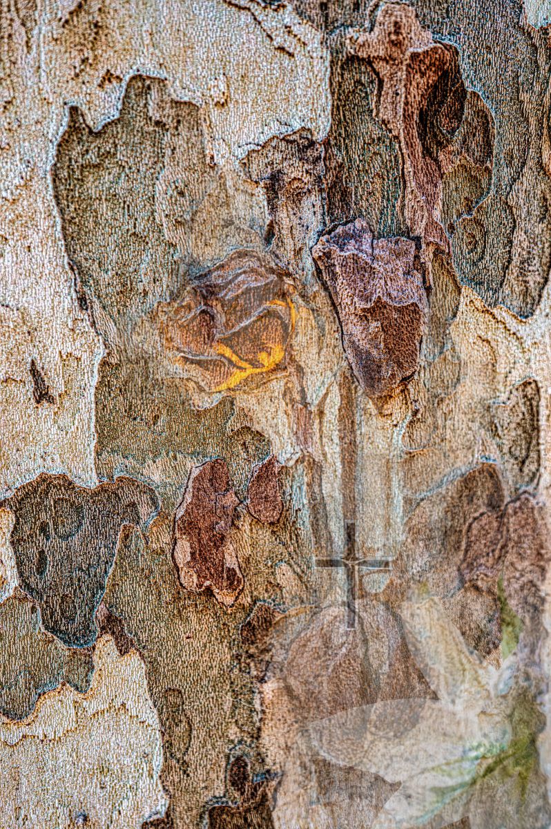 Stage REM ~Hidden Faith~ | GANREF