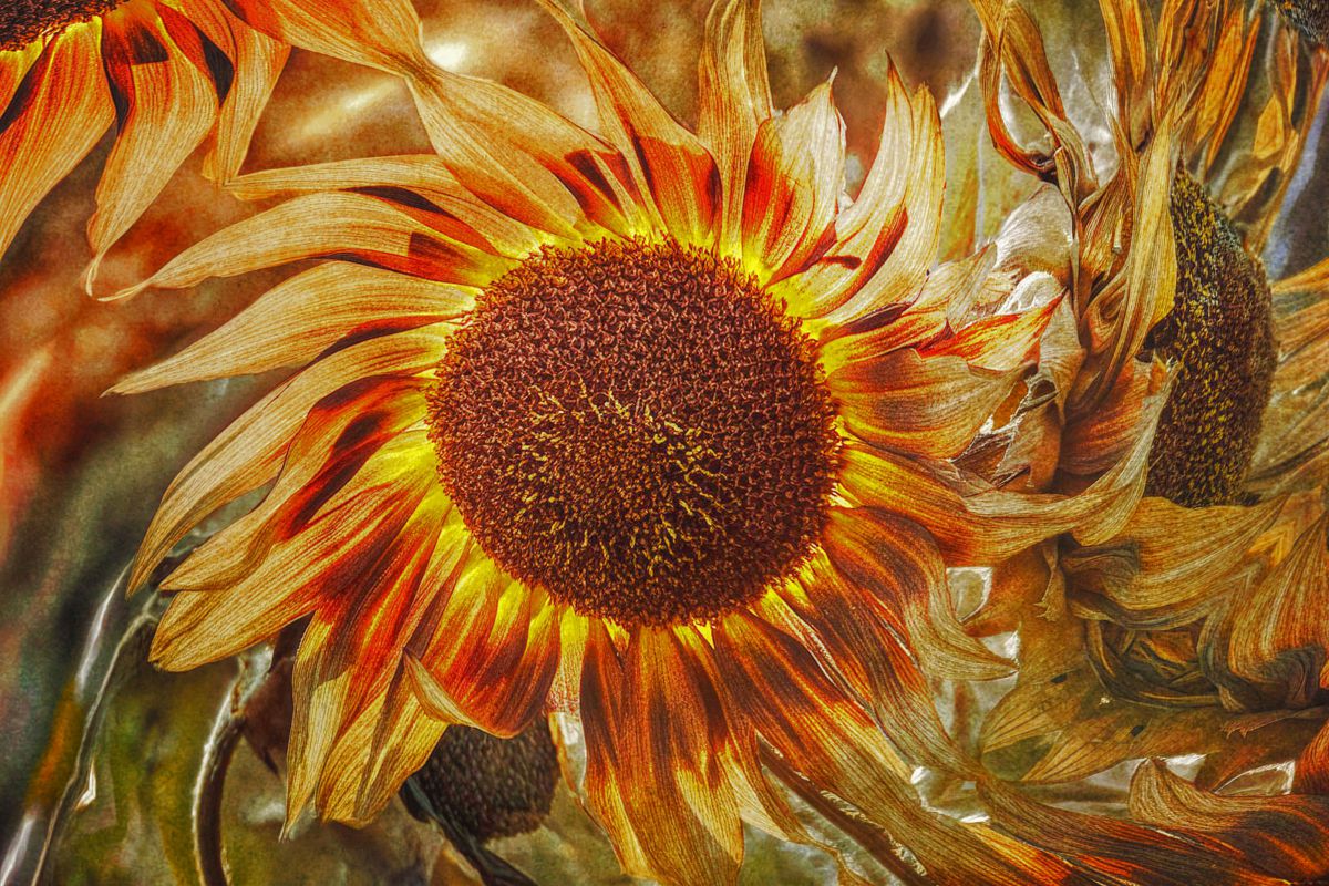 Stage REM ~the sun setting~ | GANREF