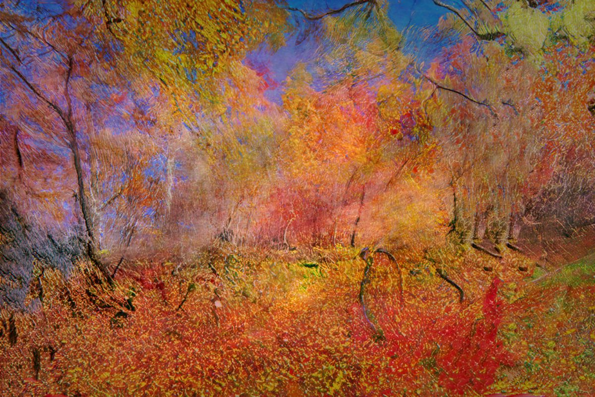 Stage REM ~dim autumn in doubt~ | GANREF