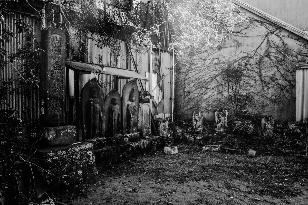 Light at the Edge of the World | GANREF