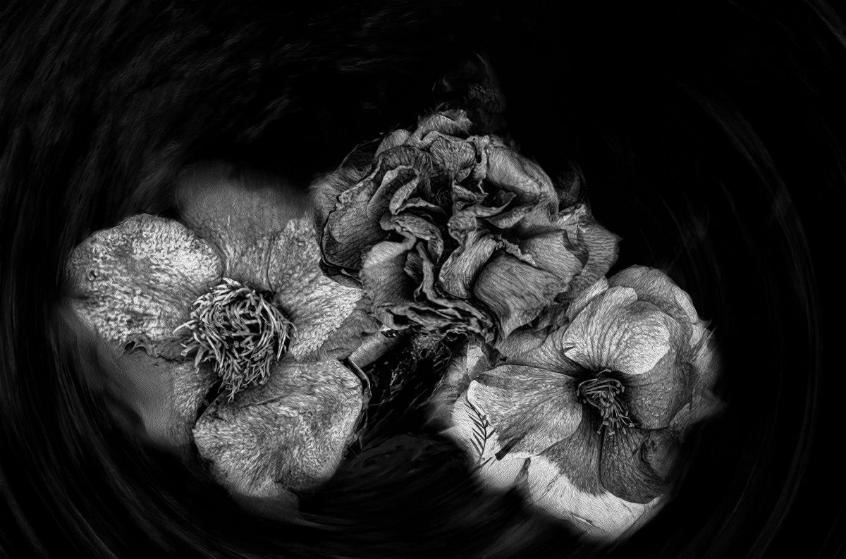 the day you return to heaven | GANREF