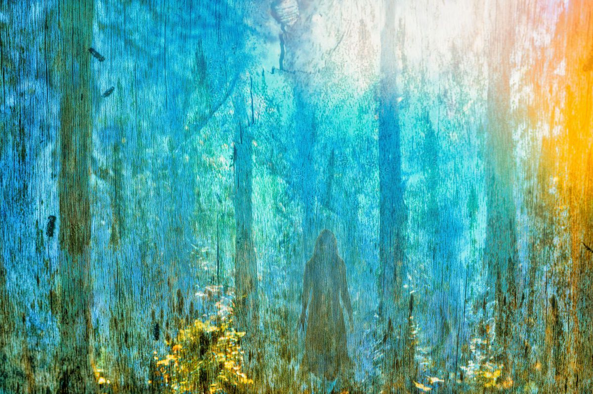 Stage REM ~Voices of the Forest~ | GANREF