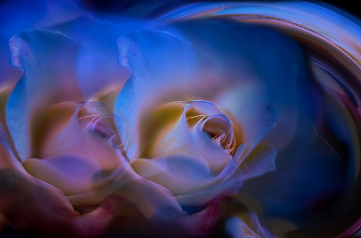 Stage REM ~Dream of Duet Rose~ | GANREF