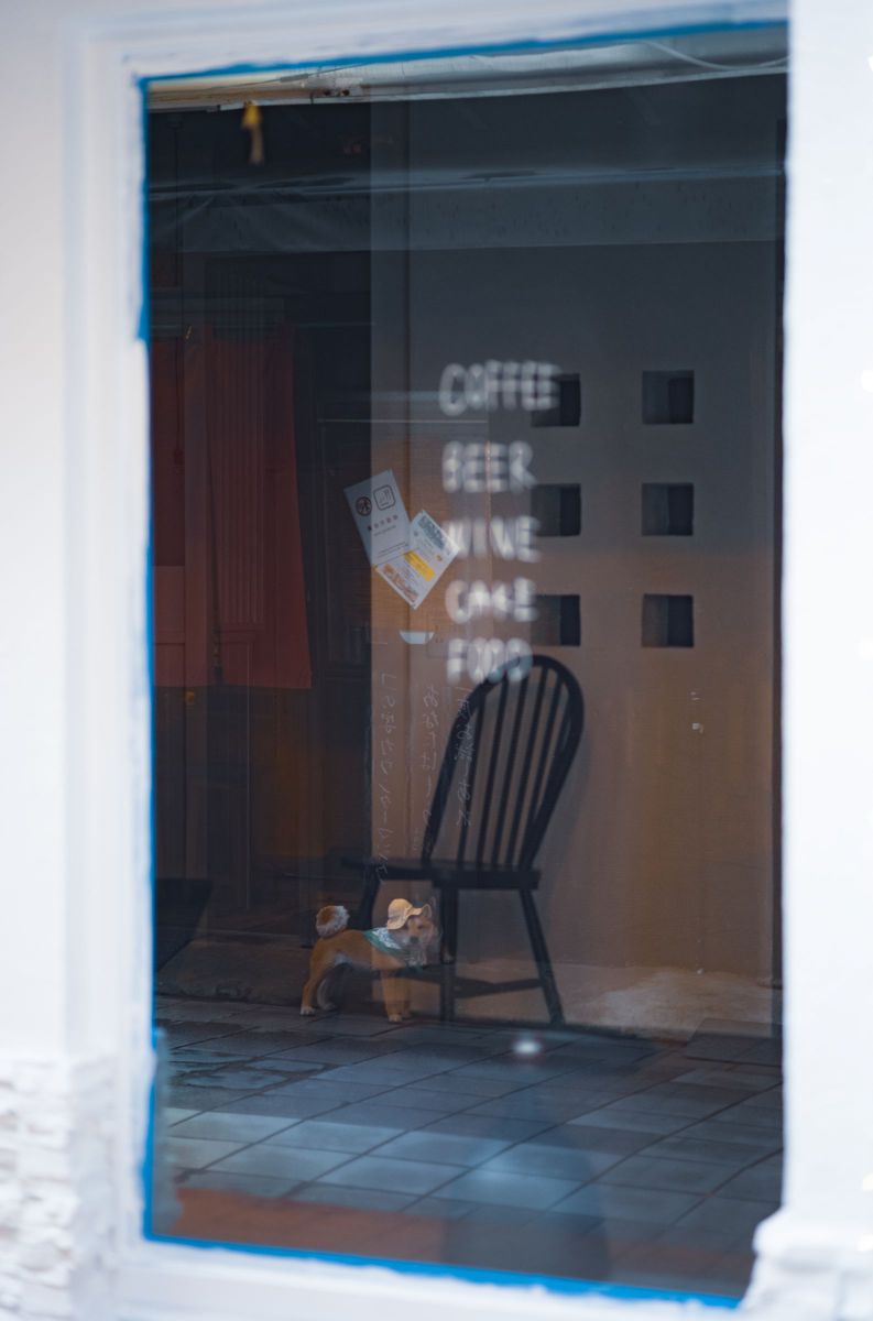 Take me too | GANREF