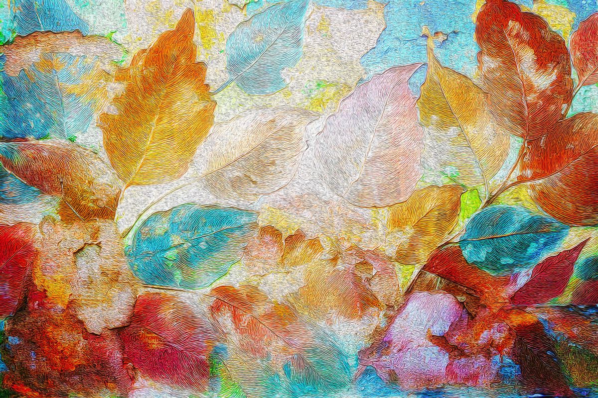 Stage REM ~fall color play~ | GANREF