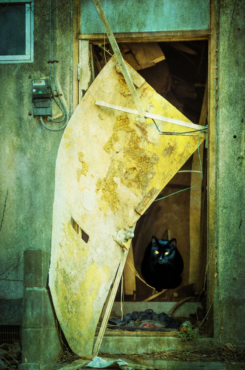 Welcome to my house | GANREF