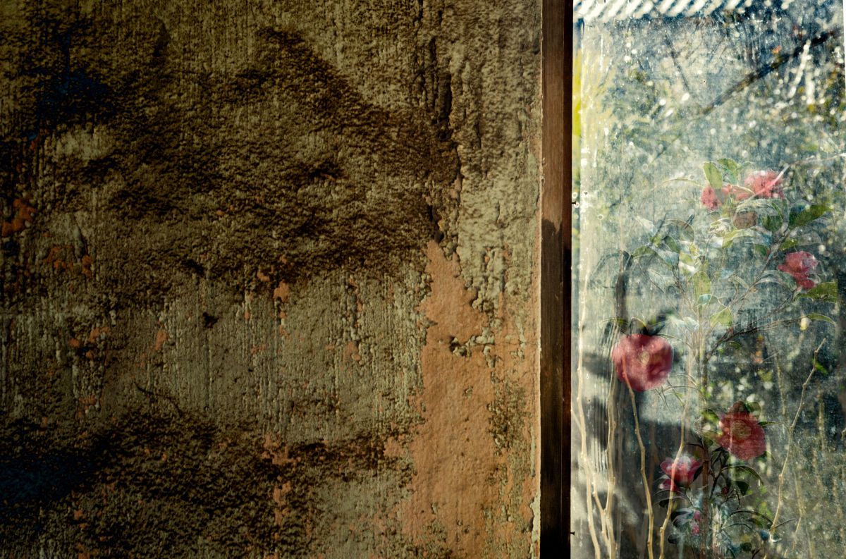 Stage REM ~Before it decays & withers~ | GANREF