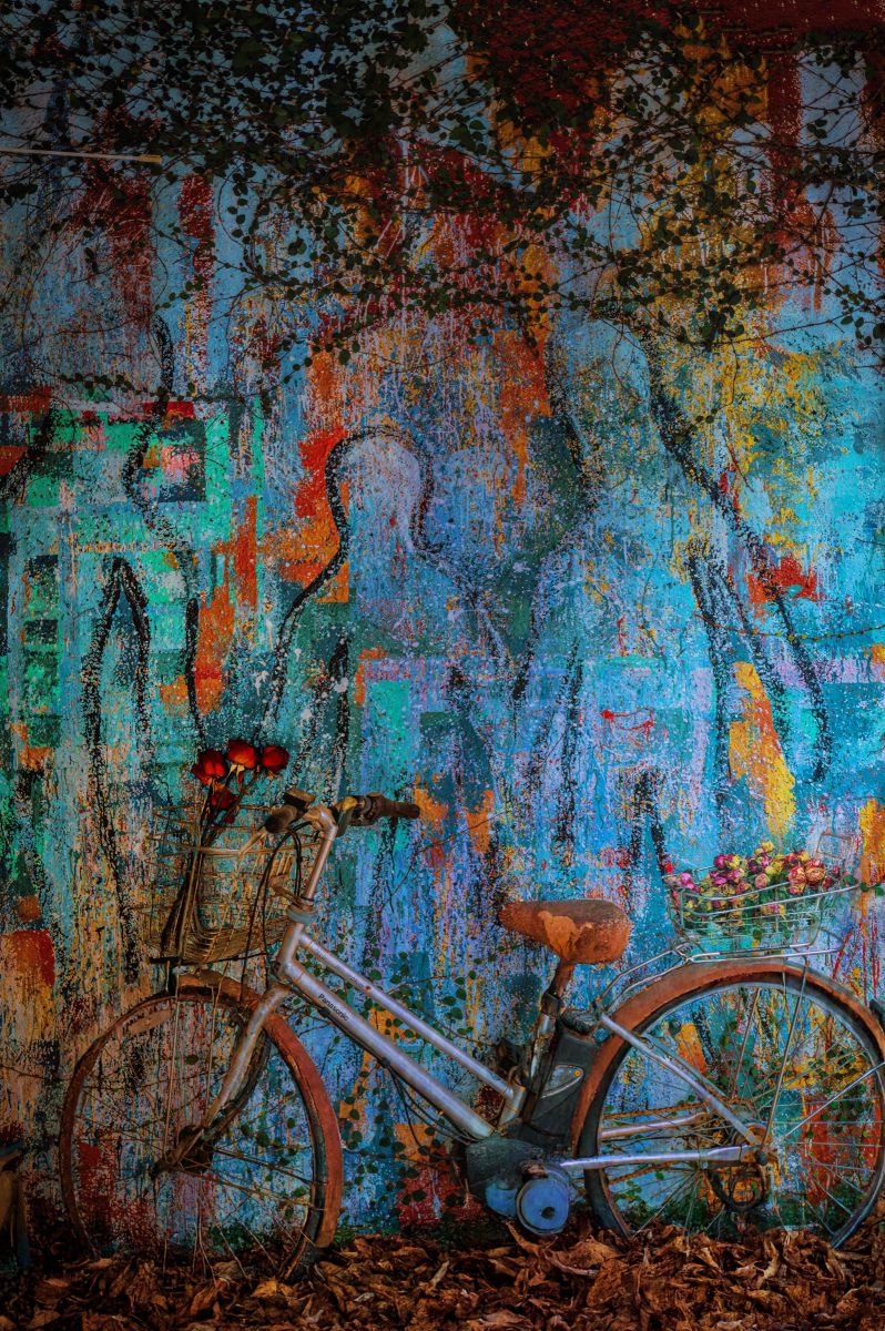 The bouquet that never arrived | GANREF