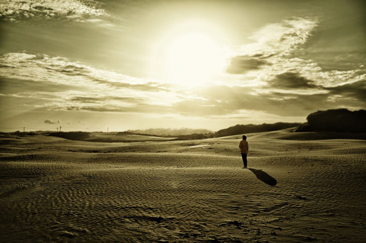 Stillness and ~ | GANREF