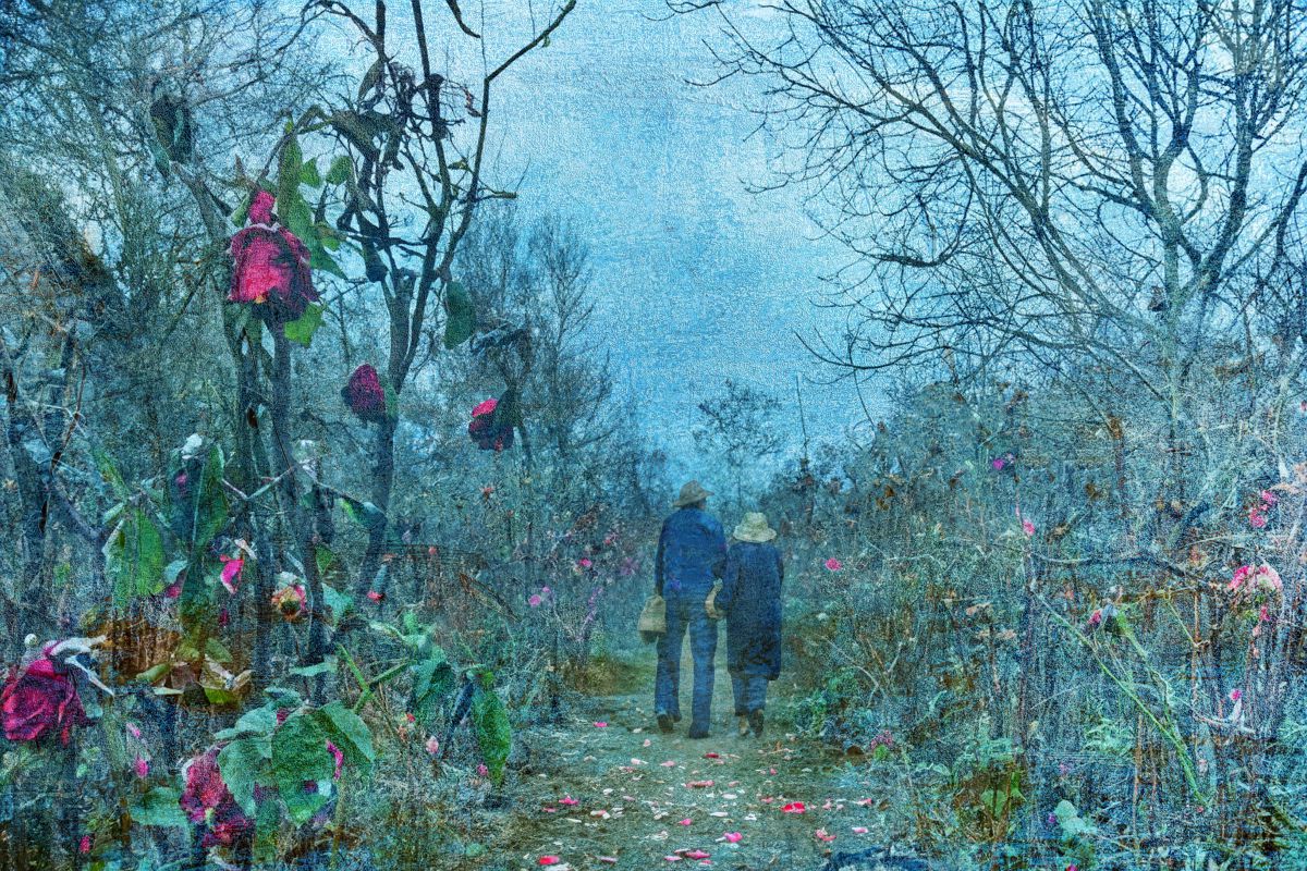 Stage REM ~Way of Withered Roses ~ | GANREF