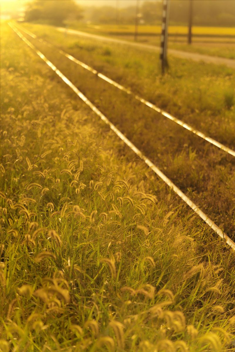 Nostalgic Railway | GANREF