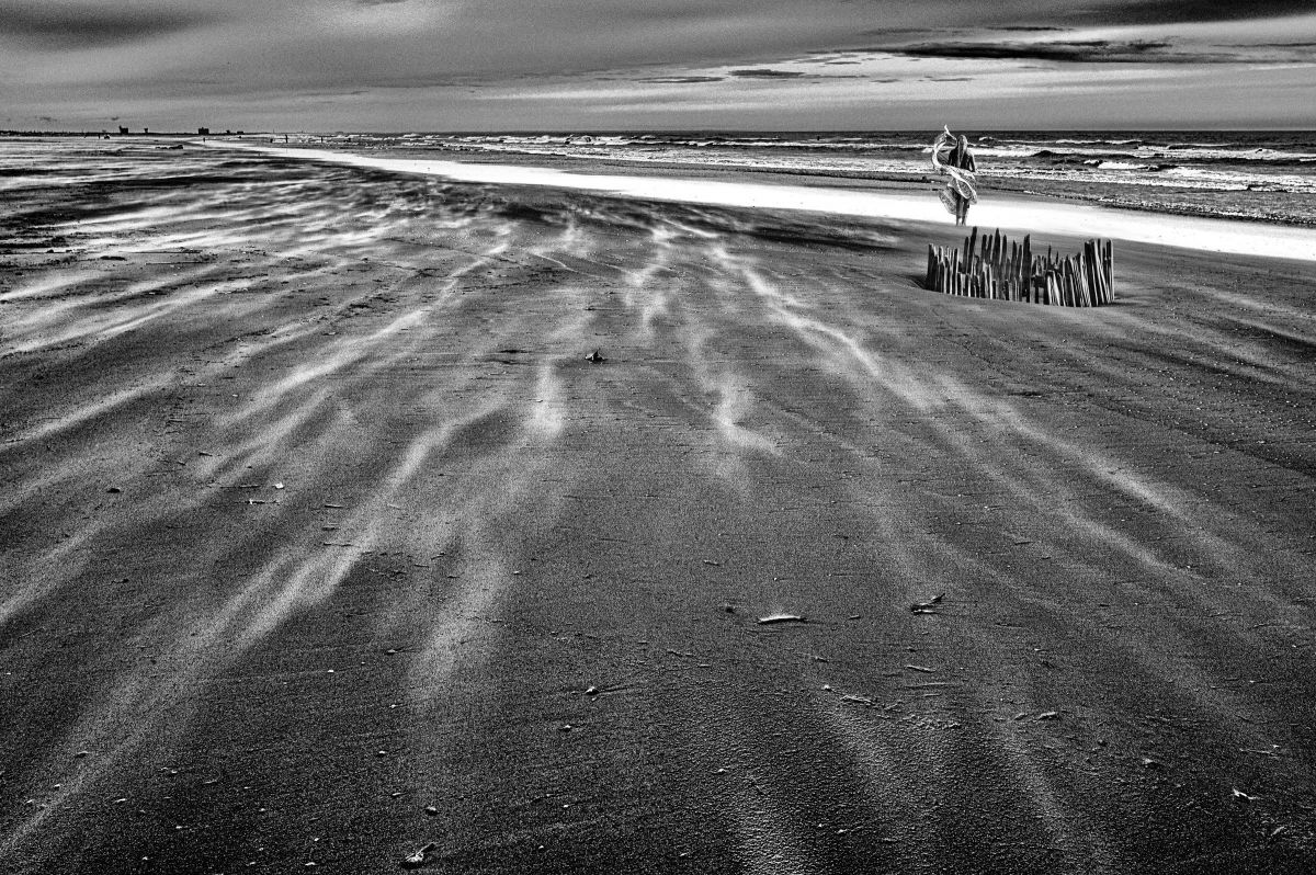 On a windy day at the shore | GANREF