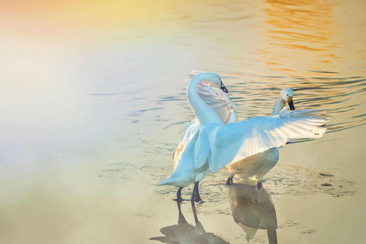 Hold me tight | GANREF