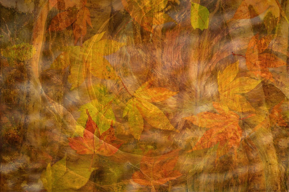 Stage REM ~ Pit Fall of Late Autumn ~ | GANREF