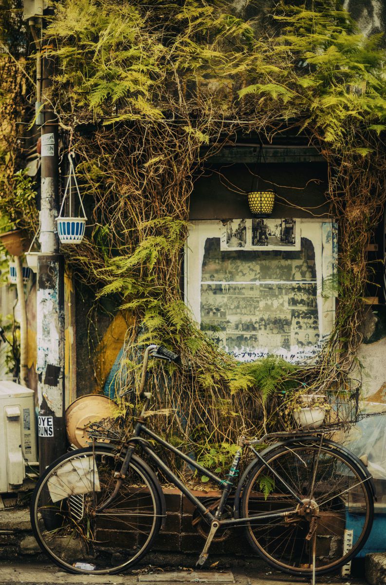 Dead or Alive ? | GANREF