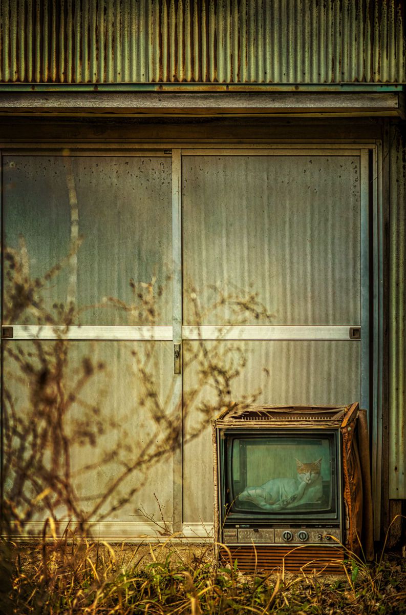 Stage REM ~ Lost article of Time ~ | GANREF