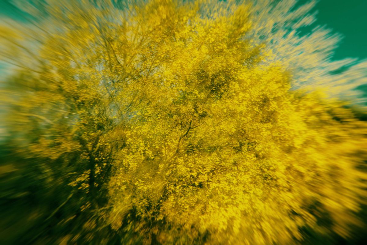 Stage REM ~Yellow Lightning~ | GANREF